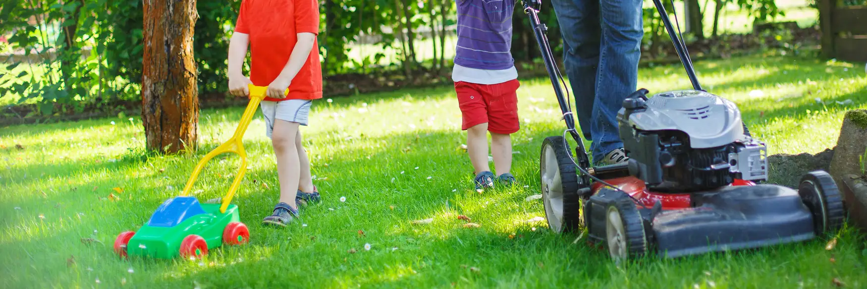 Time-Saving Lawn Care Tips for Busy Homeowners - Mastergreen Lawncare